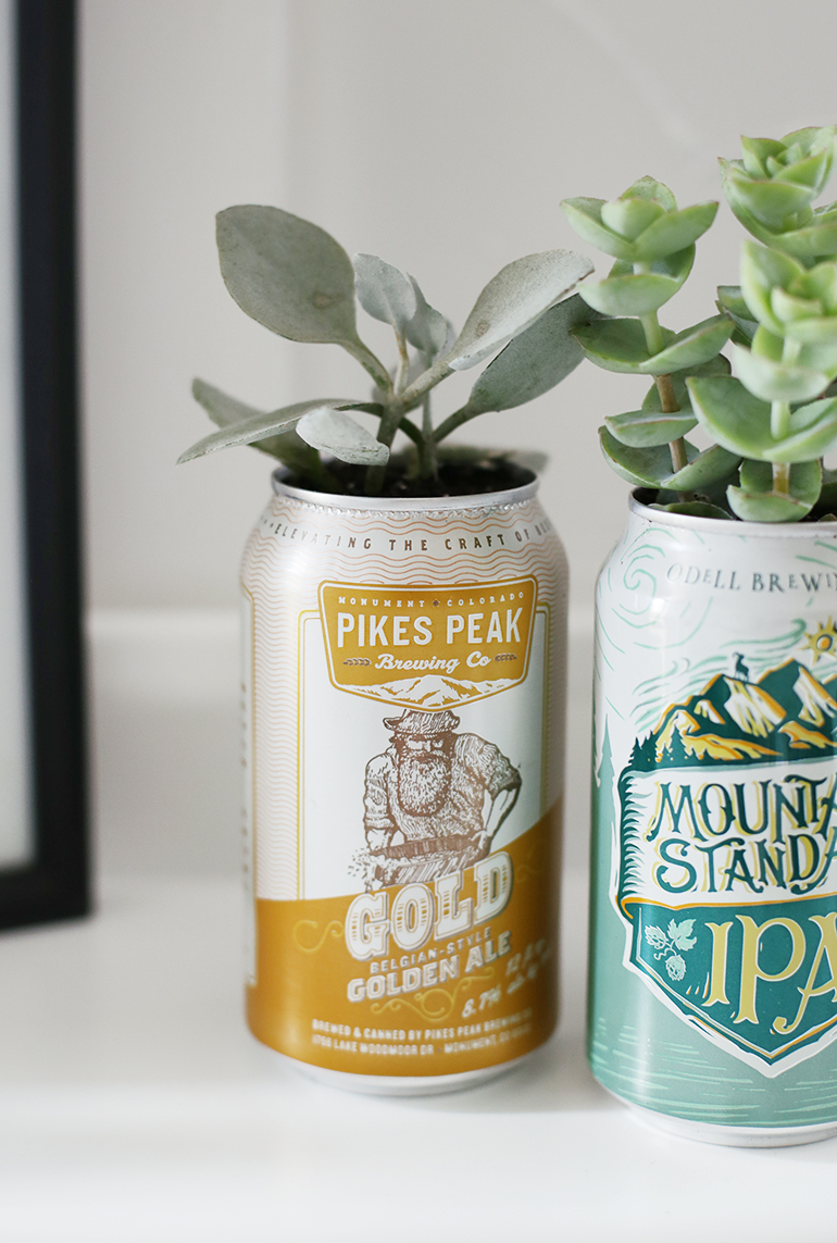 DIY Beer Can Planters - The Merrythought