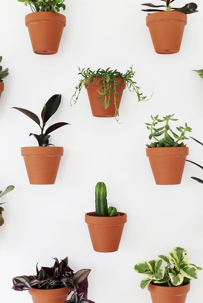 DIY Planter Wall - The Merrythought