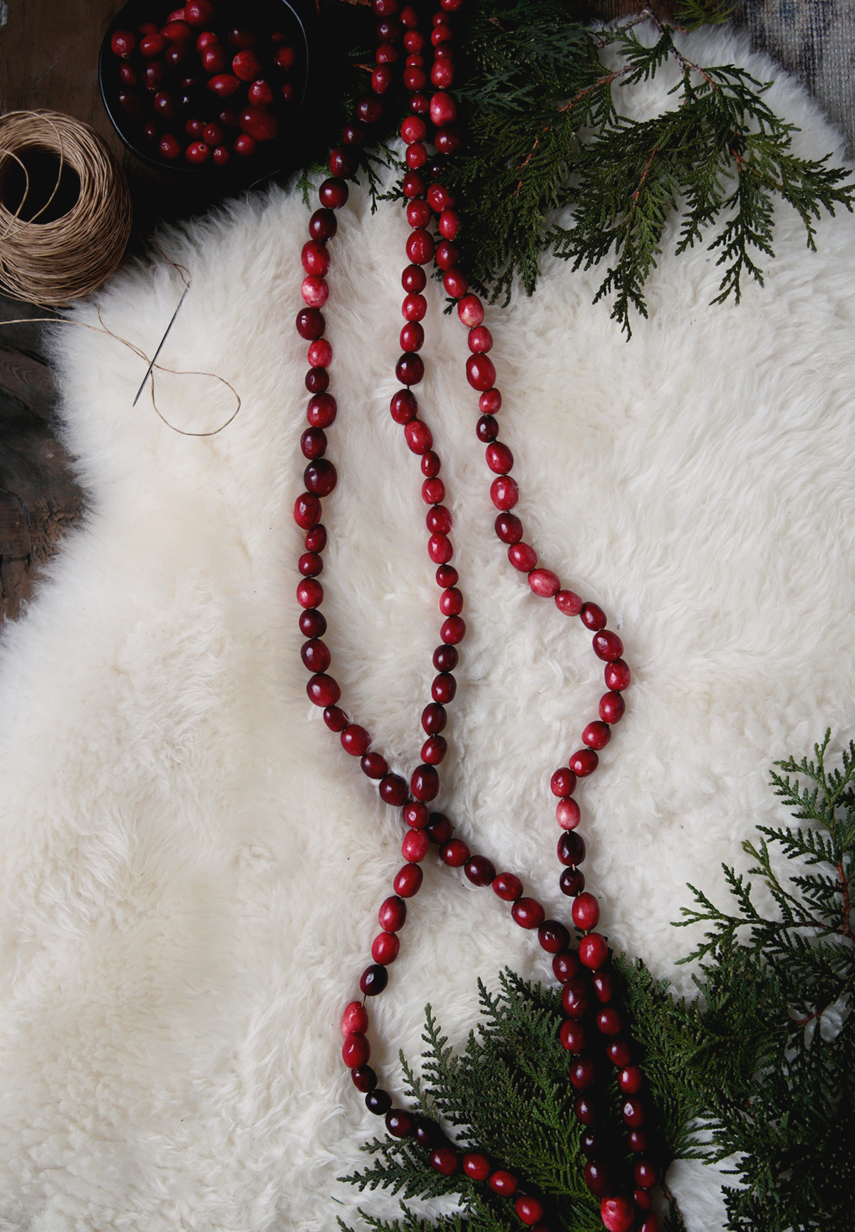 How to Make a DIY Cranberry Garland