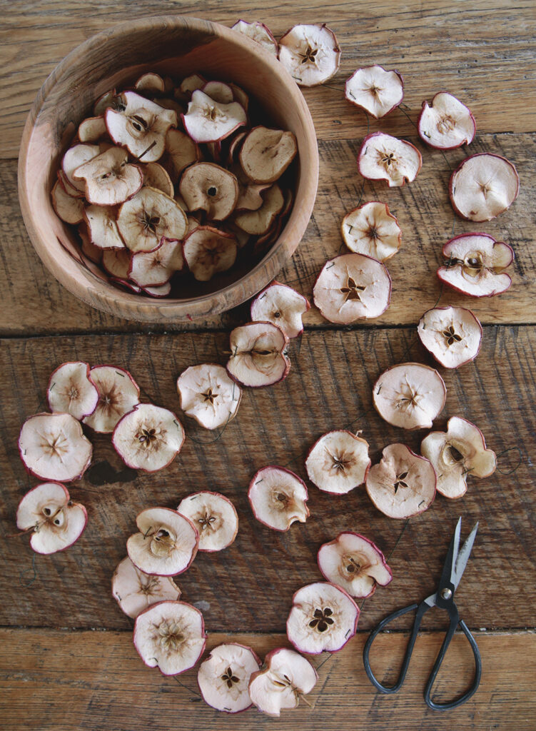 How to make a dried apple garland | Craft Thoughts