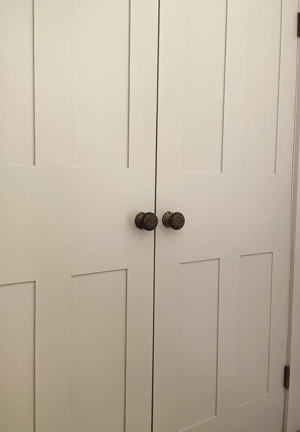 DIY Plain Door into Panel Door